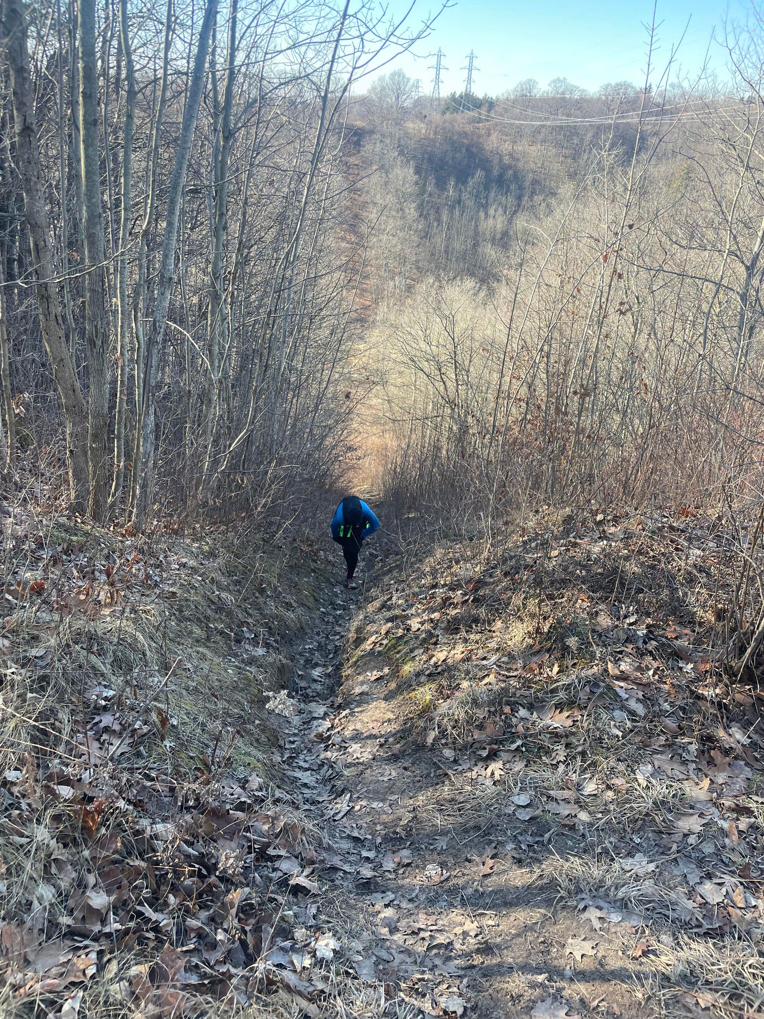 Rat Jaw Rob – Rhys Desmond